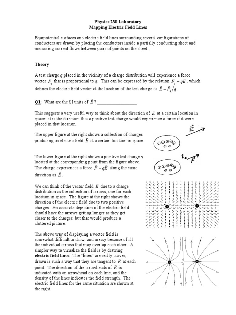 Field Mapping | PDF | Electric Charge | Electric Field