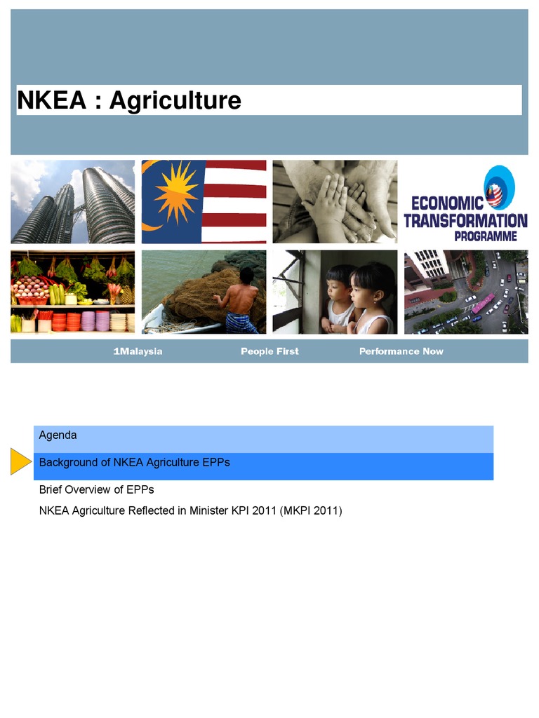 NKEA Agriculture: Transforming Malaysia's Economy | PDF | Agriculture ...