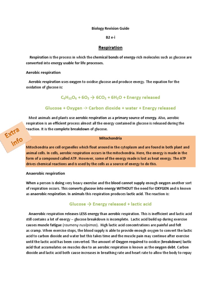 Biology Revision Guide B2 e-i: Respiration, Photosynthesis & Transport ...
