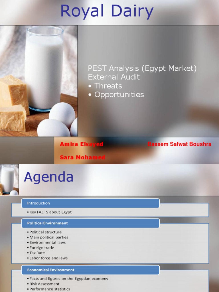 PEST Analysis (Egypt Market) External Audit - Threats - Opportunities ...