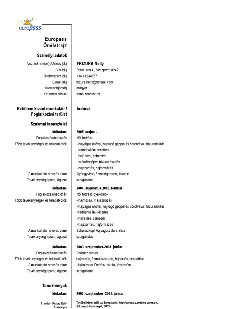 CV Example 1 Hu HU | PDF