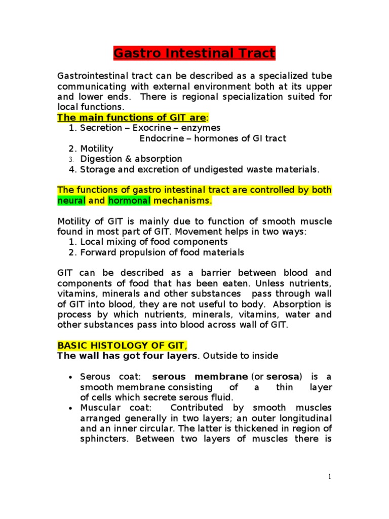 Git Notes in Short | PDF | Stomach | Bile