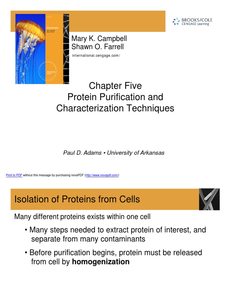 Chapter 5 - Protein Purification and Characterization Techniques (1 ...