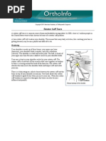 Musculoskeletal Clinical Translation Framework | PDF | Pain | Neuroscience