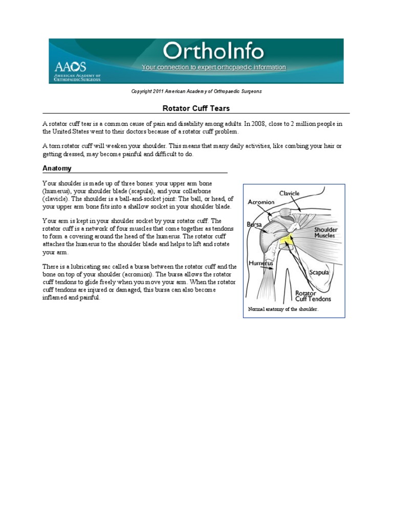 Rotator Cuff Tears Orthoinfo - Aaos.org Topic | PDF | Shoulder | Surgery