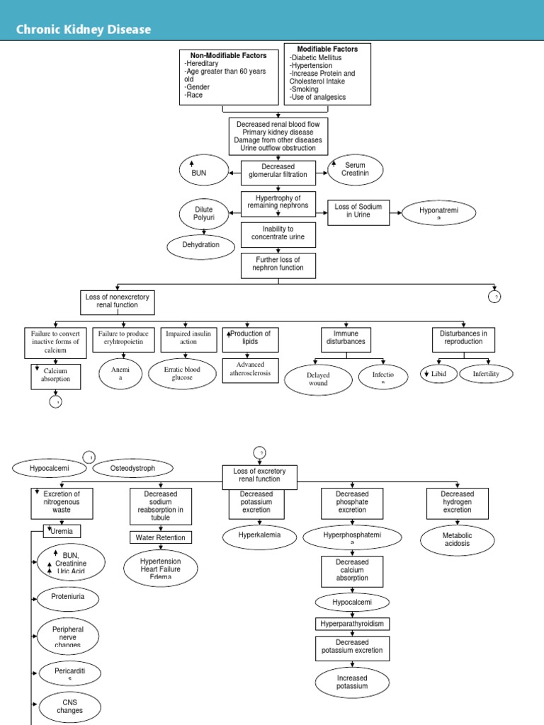 Chronic Kidney Disease Pathophysiology - Schematic Diagram | PDF