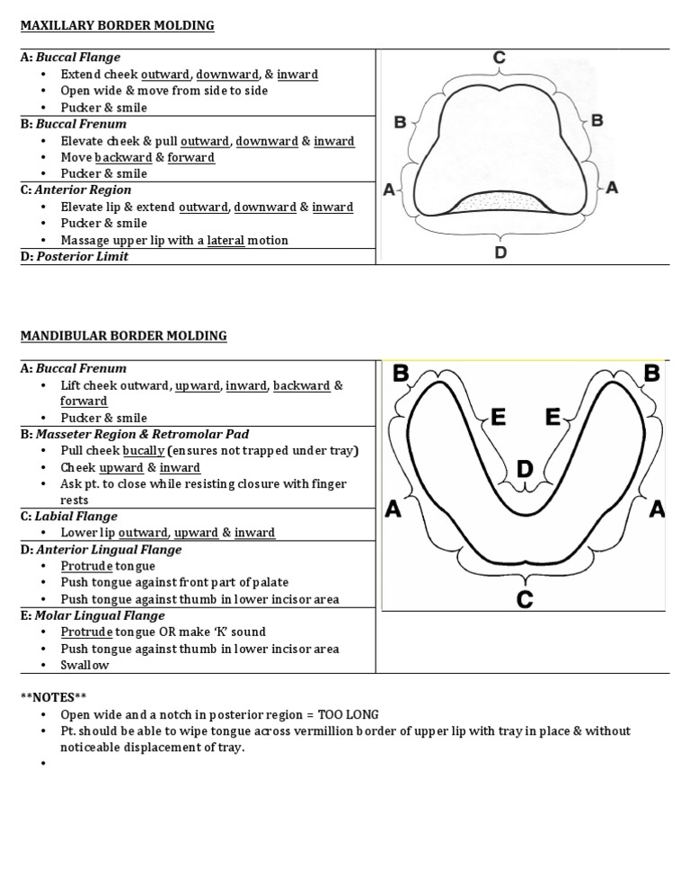 Maxillary and Mandibular Border Molding | PDF