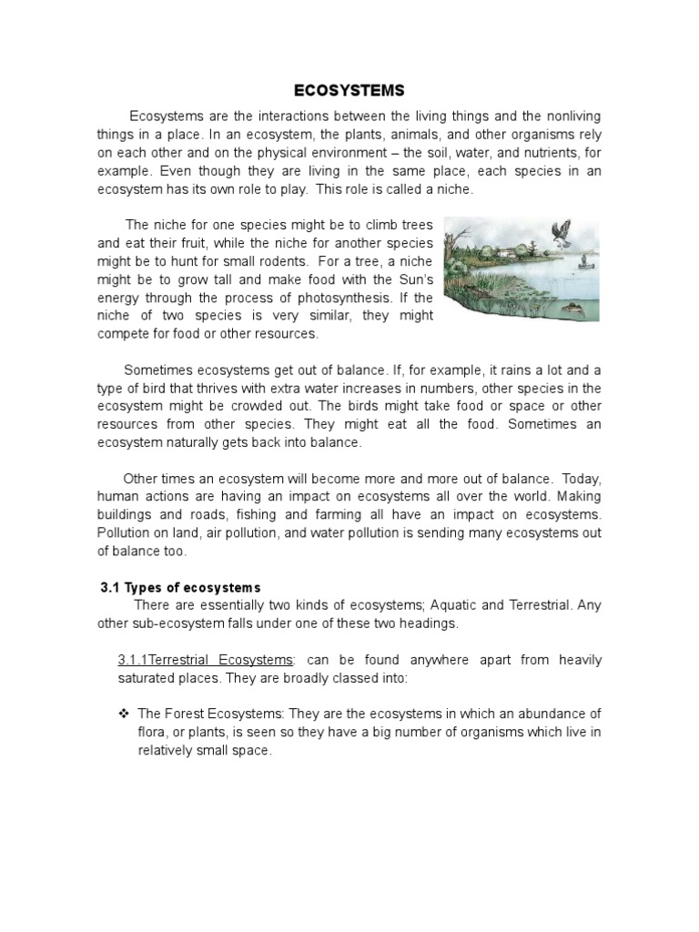 Ecosystems: 3.1 Types of Ecosystems There Are Essentially Two Kinds of ...