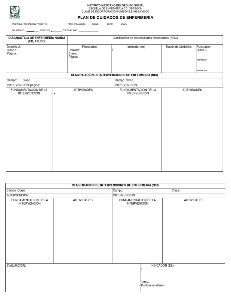 Formato Pae Blanco | PDF