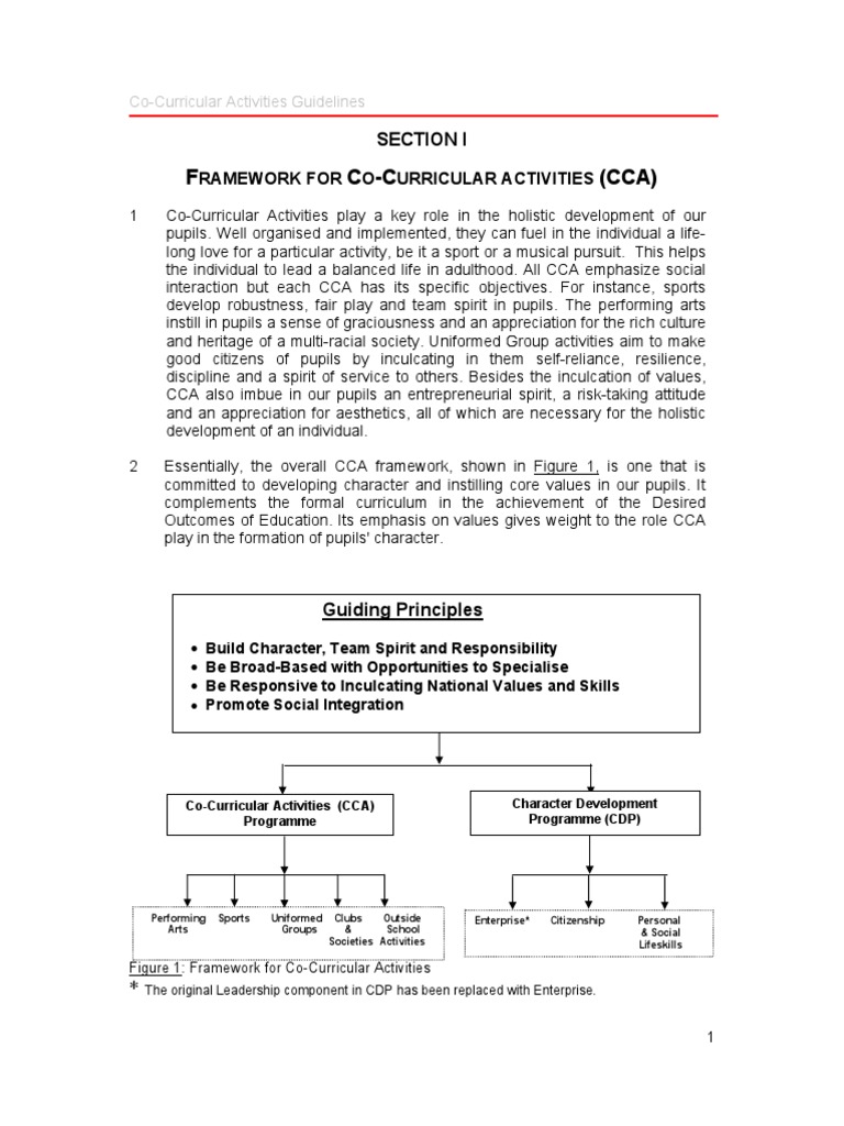 LEAPS Guidelines | PDF | Team Building | University And College Admission