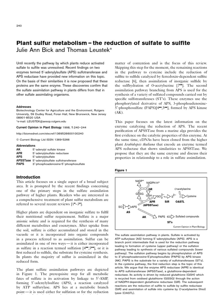 Plant Sulfur Metabolism - The Reduction of Sulfate To Sulfite | PDF ...