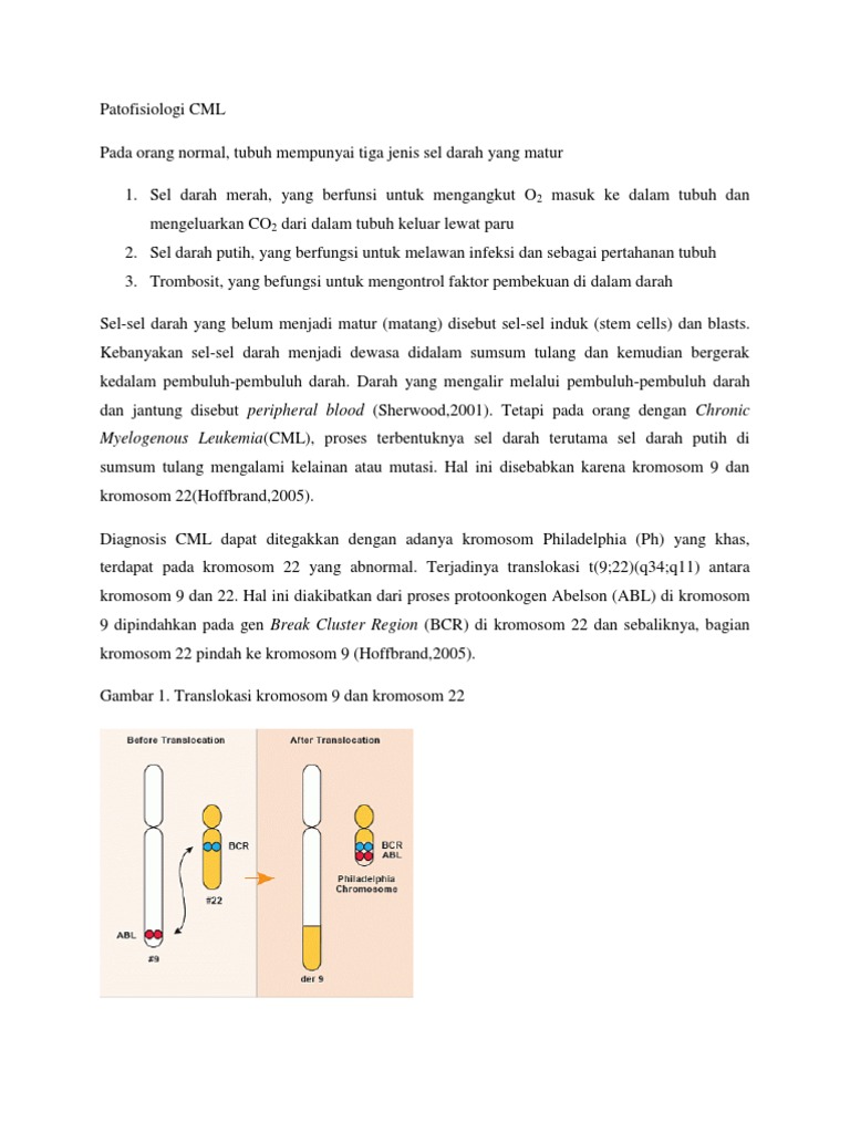 Patofisiologi CML | PDF | Kesehatan Holistik