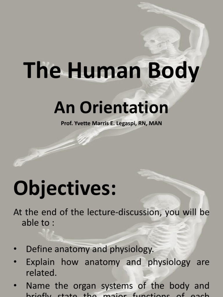 Ana&Physio 1 - The Human Body - An Orientation | PDF | Anatomical Terms ...