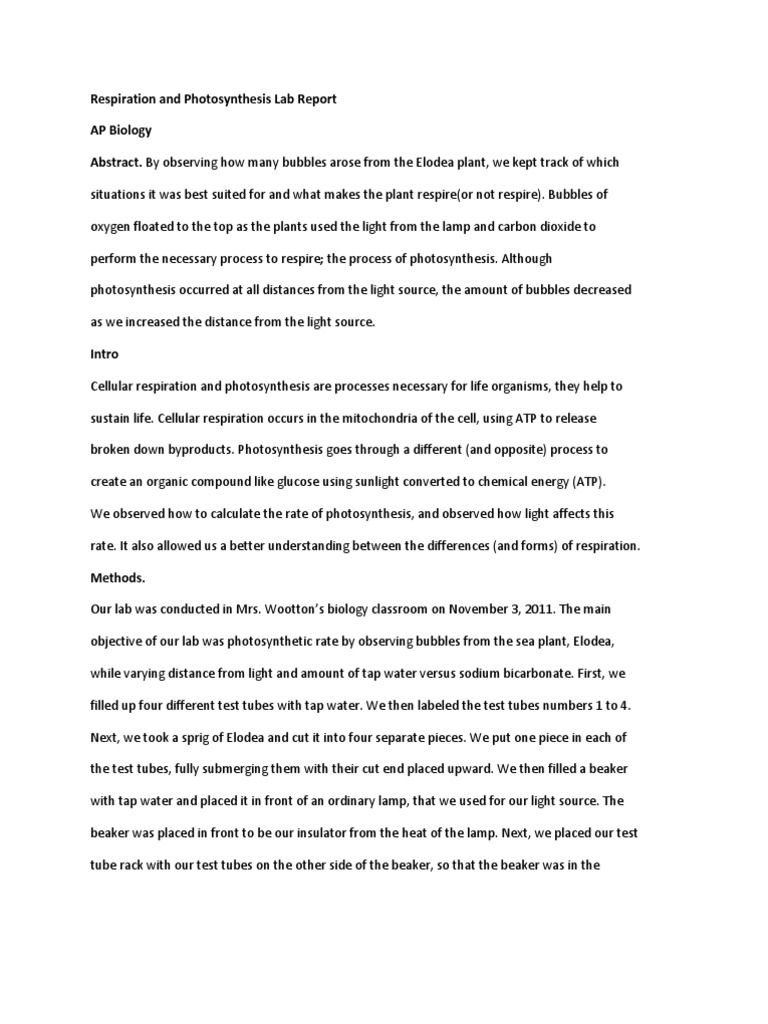The Effect of Light Intensity and Carbon Dioxide Concentration on the ...