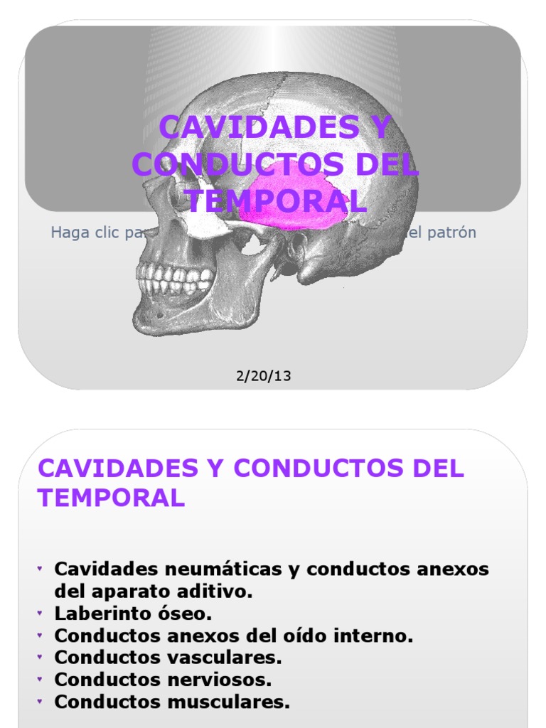 Cavidades y Conductos Del Temporal | Oído | Anatomía