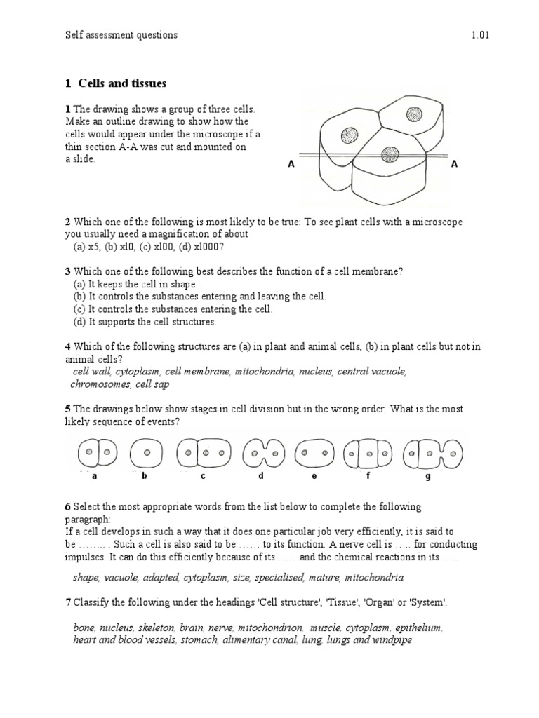 Cell Biology Basics for Students | PDF | Teaching Methods & Materials ...
