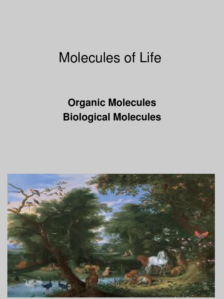 The Molecular Basis of Life: An Introduction to Organic Molecules ...