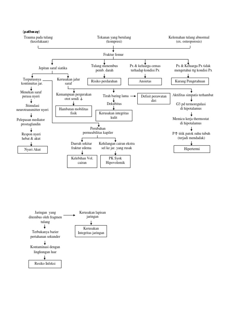 Pathway Fraktur Femur