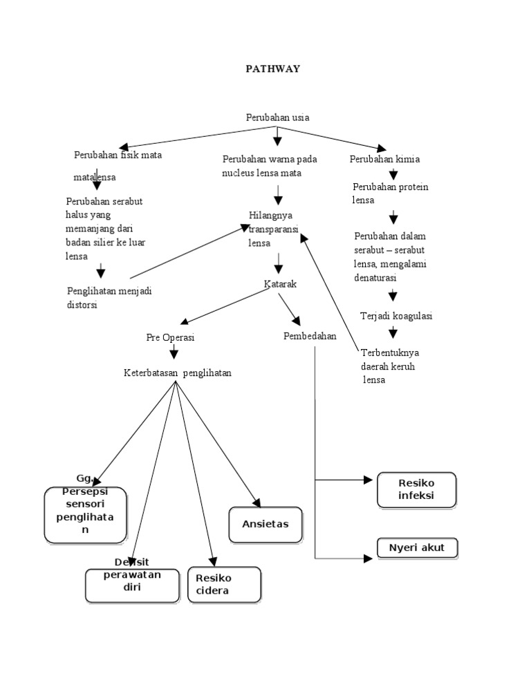 Pathway: Resiko infeksi Ansietas Gg. Persepsi sensori penglihata n
