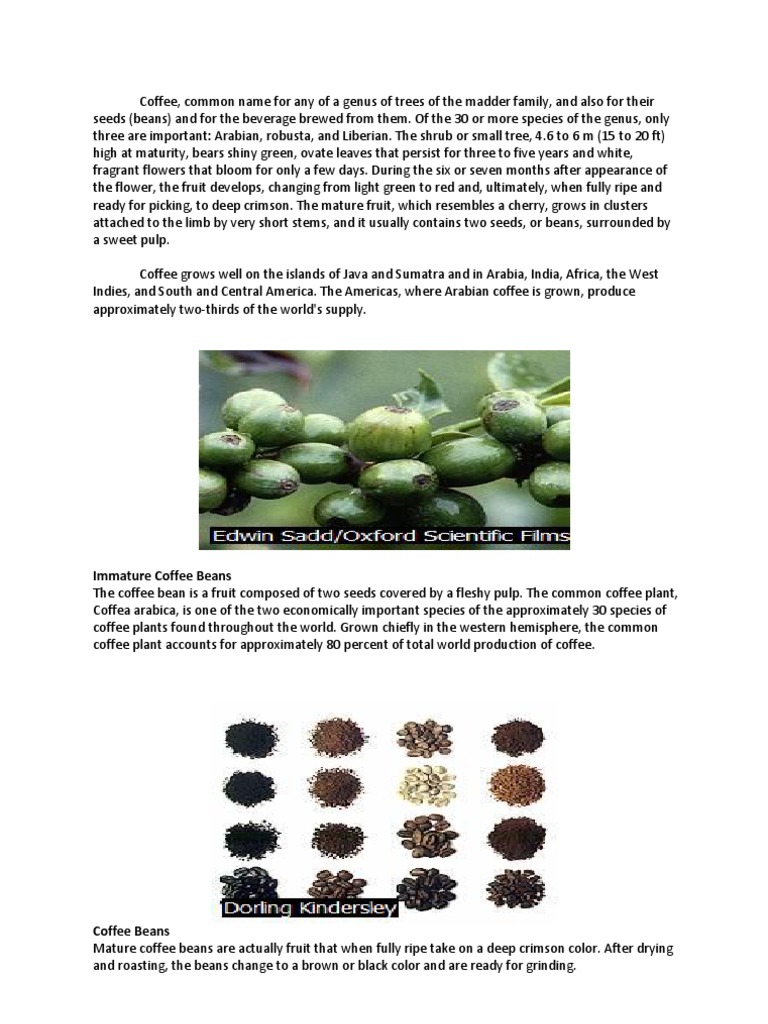 Coffee | Coffee | Agronomy