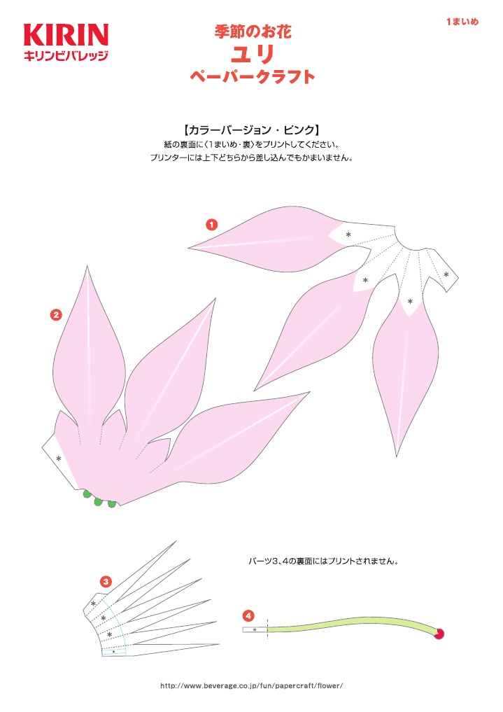 Flower Paper Model 6th | PDF