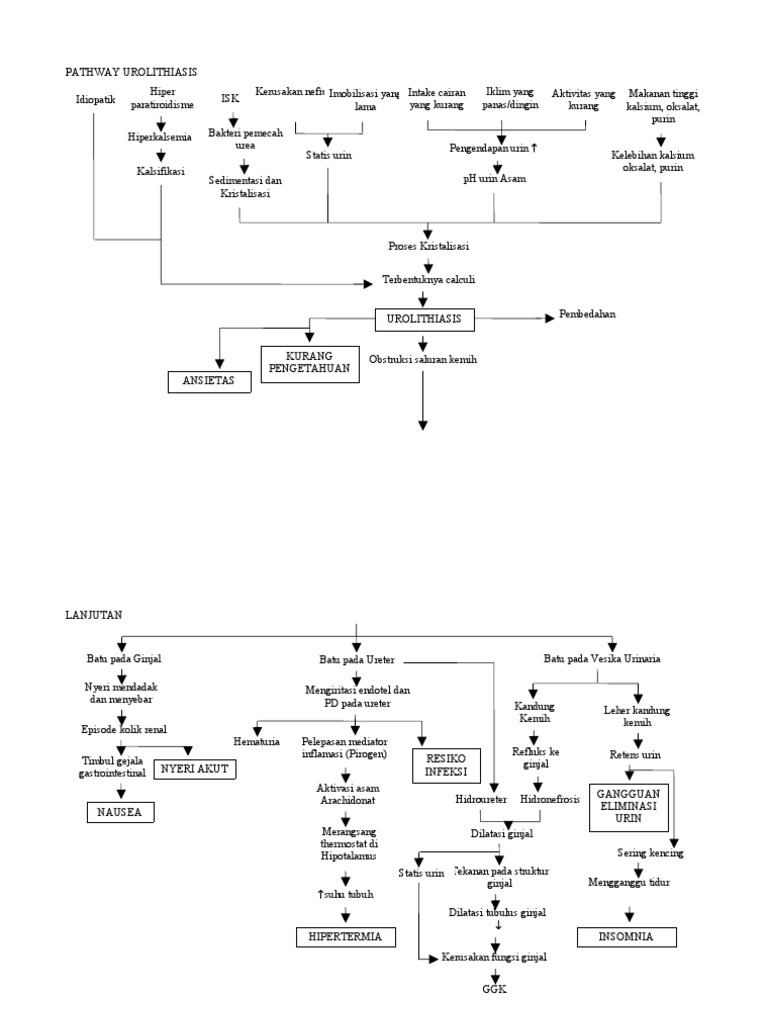 Pathway Urolithiasis