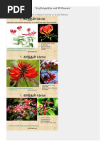 Ethnobotanical Survey On Medicinal Plants Used by The Manobo Tribe of ...