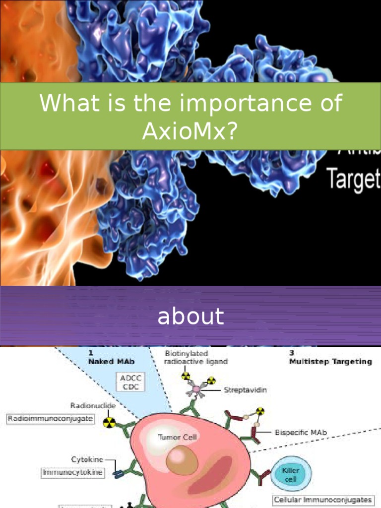 What Is The Importance of Axiomx? | PDF | Science & Mathematics