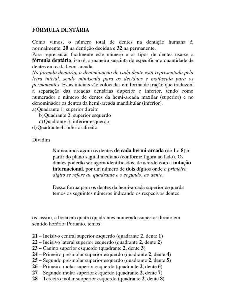 A anatomia e morfologia dos dentes: estrutura, partes, fórmula dentária ...