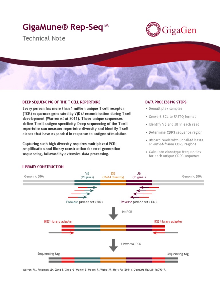 GigaMune Rep-Seq Technical Note | PDF | Dna Sequencing | Polymerase ...
