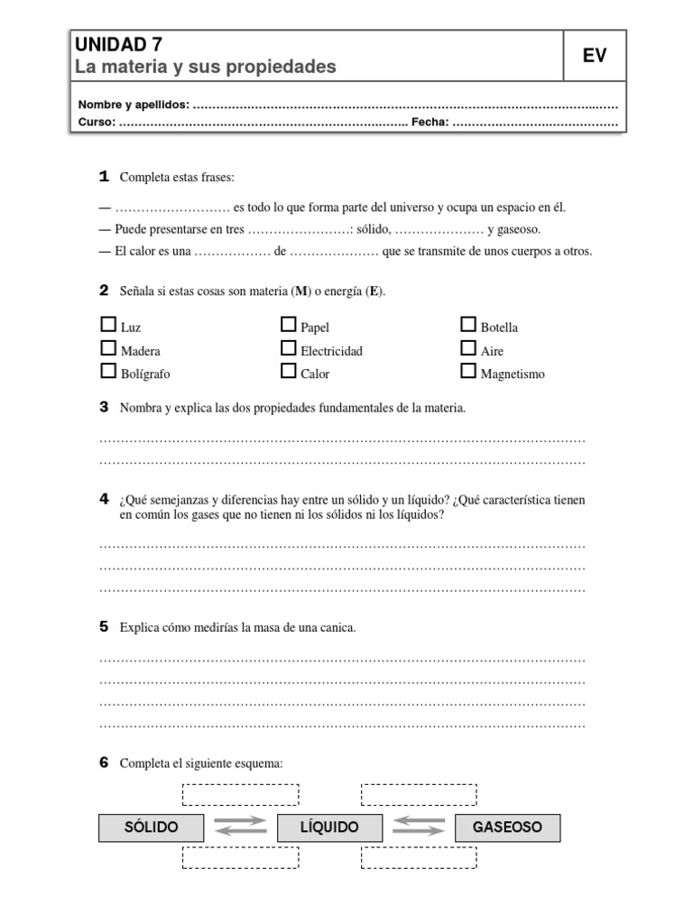 Actividades Tema 7 Cono 5º PDF | PDF