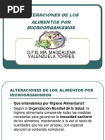CHATTO | PDF | Alimentos | Las bacterias