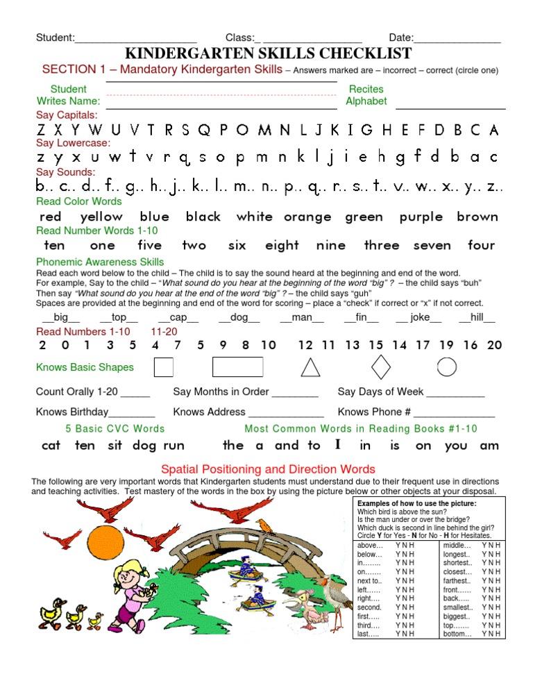 Kindergarten Skills Checklist | PDF