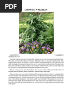 LSU-Ag Planting Guide | PDF | Vegetables | Fertilizer