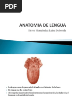 Region Geniana | PDF | Cabeza y cuello humanos | Anatomía humana