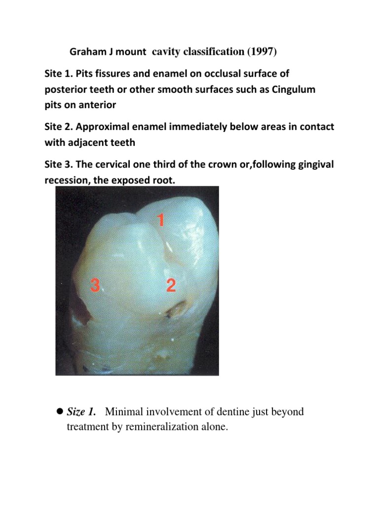 Mount Graham Classification | PDF