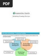 Lean Organizational Structure Sample | PDF | Business