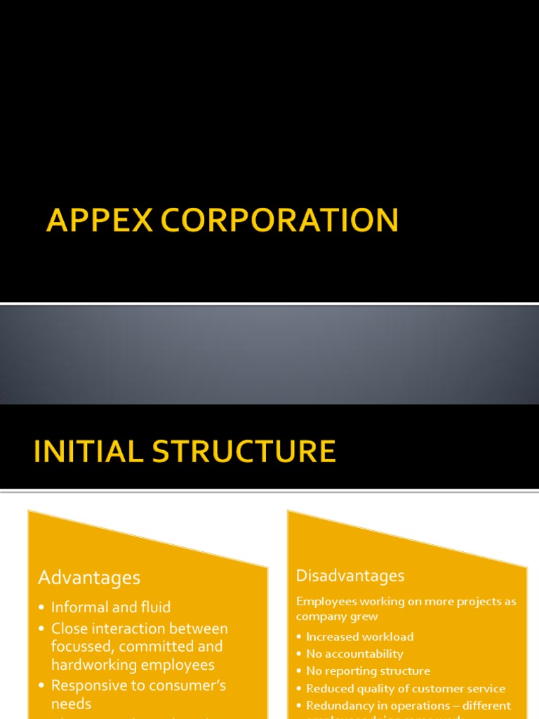 Transitioning Appex Corporation's Structure | PDF
