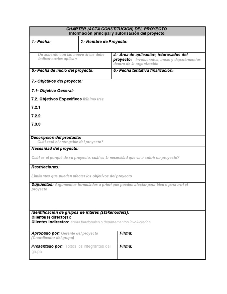 Formato Para Formular Un Project Charter