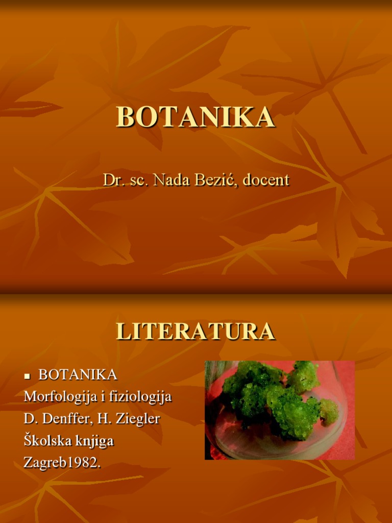 Botanika Mediteranci | PDF