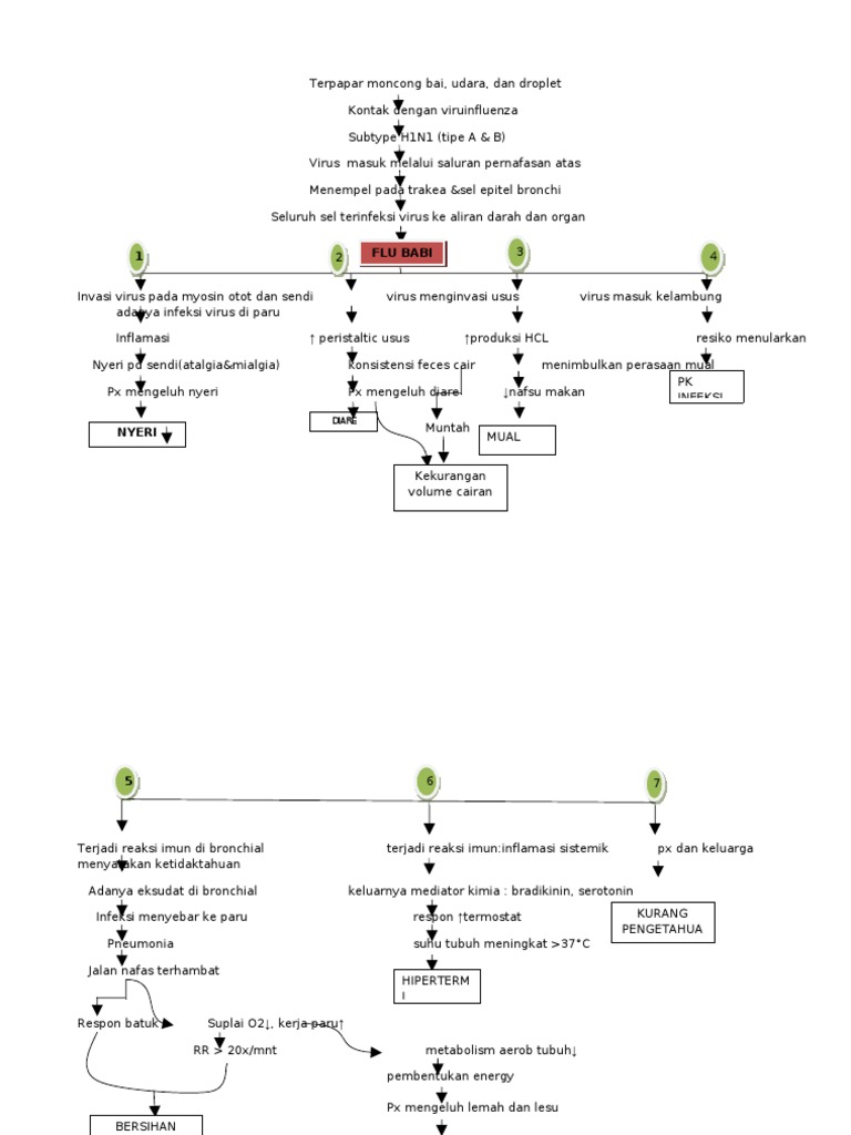 Pathway Flu Babi | PDF