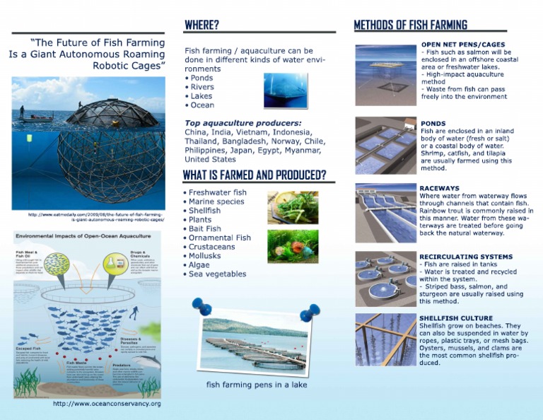 Fish Farming Methods Overview | PDF