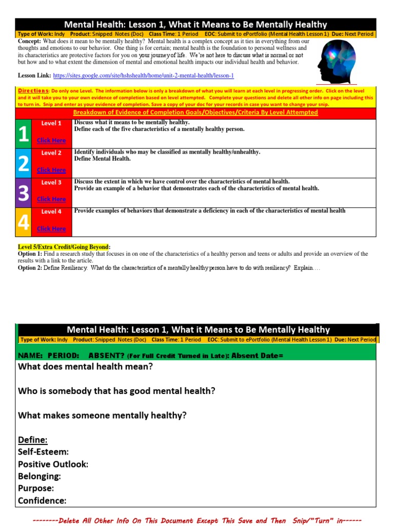 Understanding Mental Health Basics | PDF