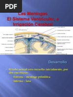 El Saco Dural Humano | PDF | Médula espinal | Anatomía