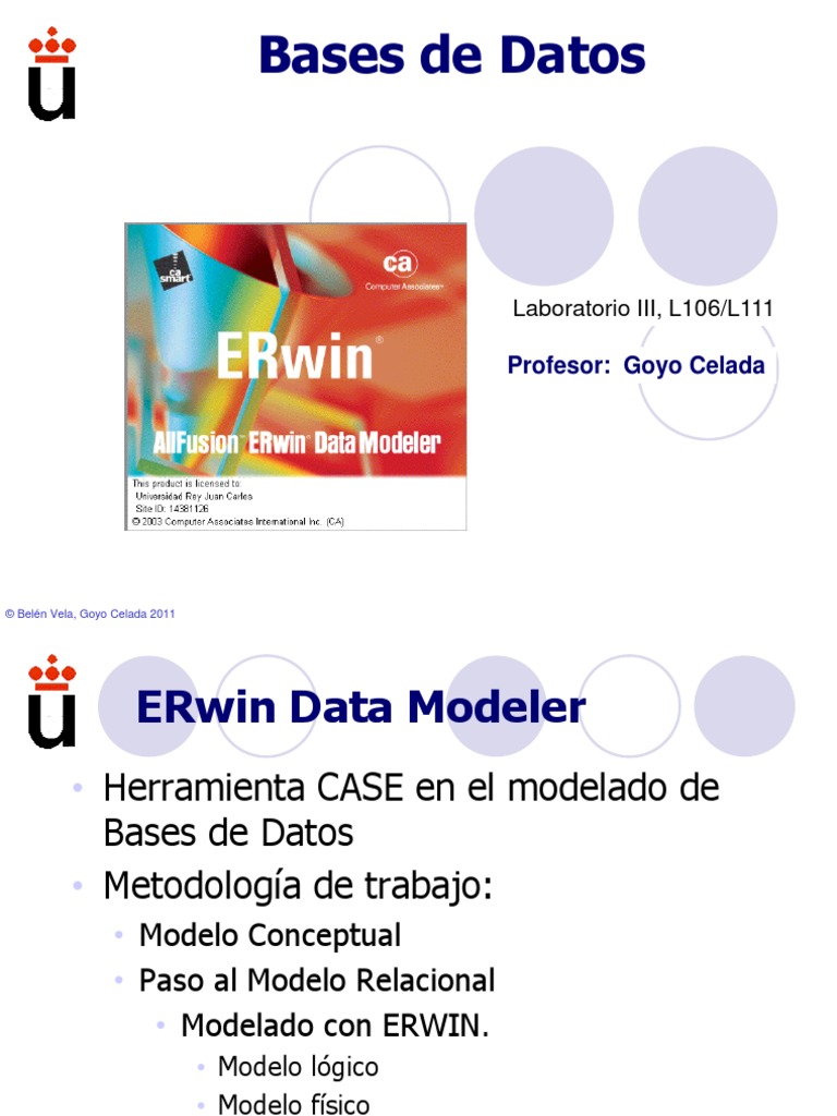 Erwin Pdf Pdf Bases De Datos Modelo De Datos