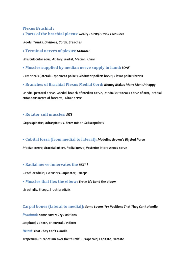 Mnemonics For Upper Limb | PDF