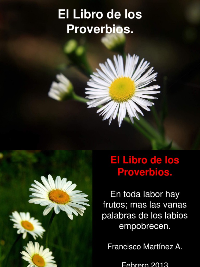 El Libro de Los Proverbios | PDF | Solomons | Libro de proverbios