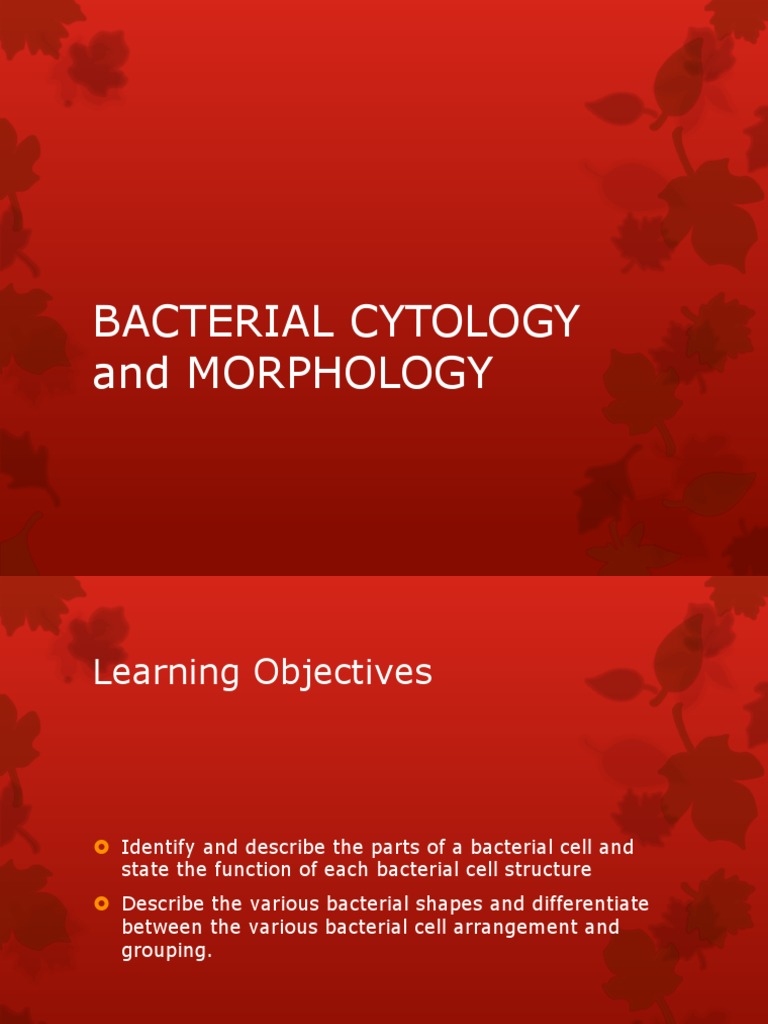 Bacterial Cytology and Morphology | PDF | Cell Membrane ...