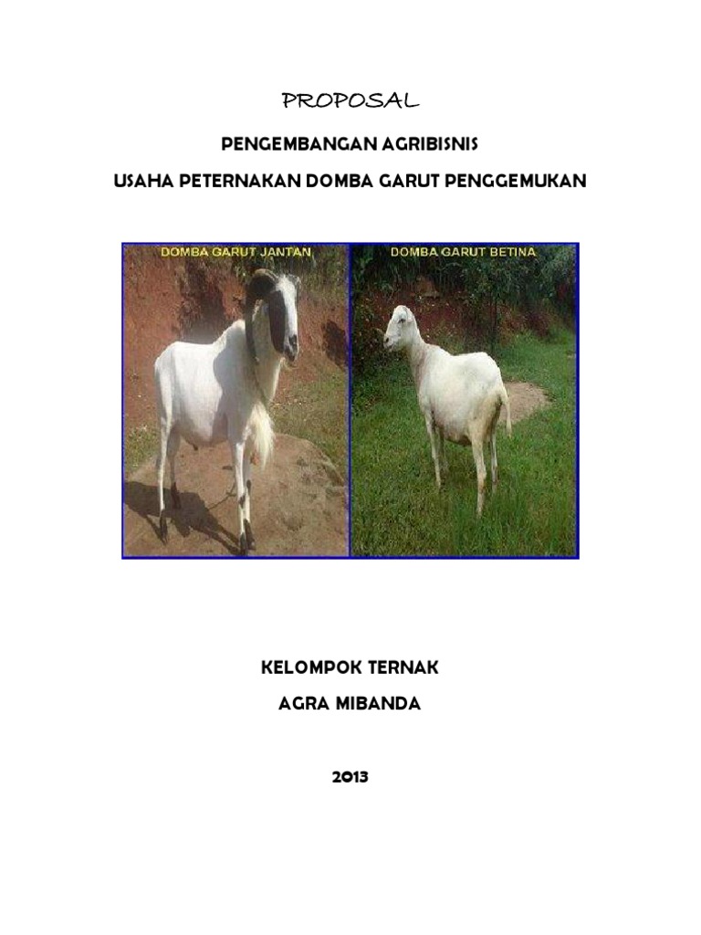 Proposal Domba Babeh | PDF