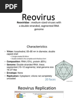 Vacutainer Order of Draw | PDF